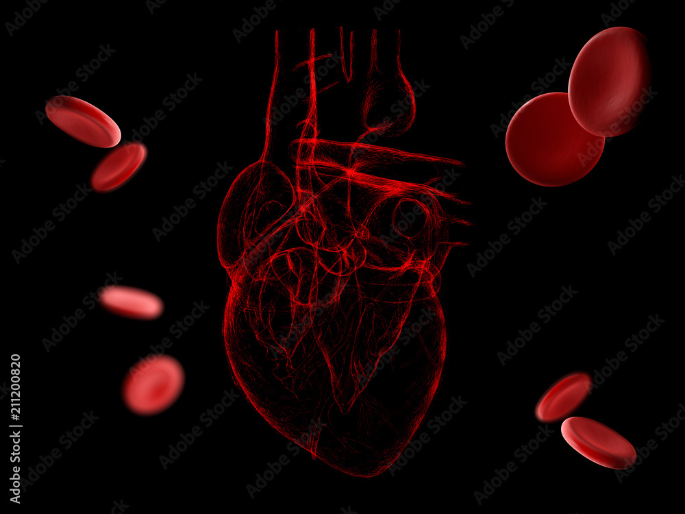 3d illustration of Isolated x-ray red human heart with blood cell on ...