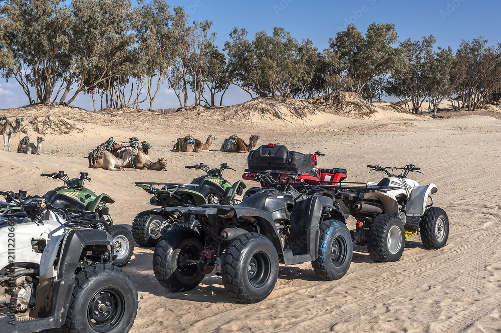 Change of generations of transport for traveling through the desert ...