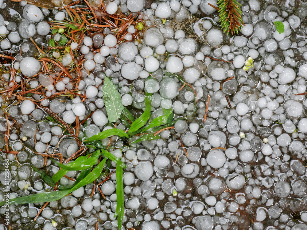 Hail on the ground after hailstorm Stock-Foto | Adobe Stock