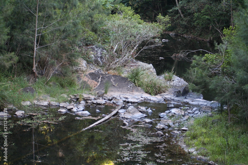 wishing pool circuit, a walk through rainforest along calm river pools ...