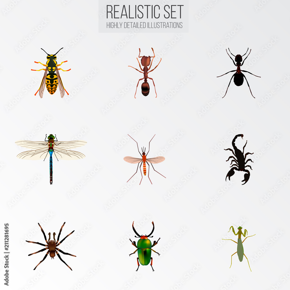 Set of insect realistic symbols with ant, dragonfly, pismire and other ...
