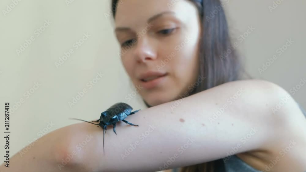 Young woman holding a male of Gromphadorhina portentosa the hissing ...