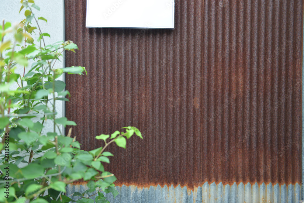 bush near fluted wall texture or metal texture background. texture ...