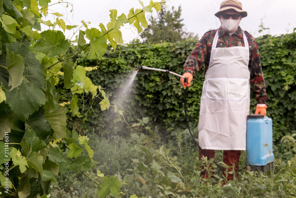 Male farmer with hat, glasses, respirator, apron, protective clothing ...