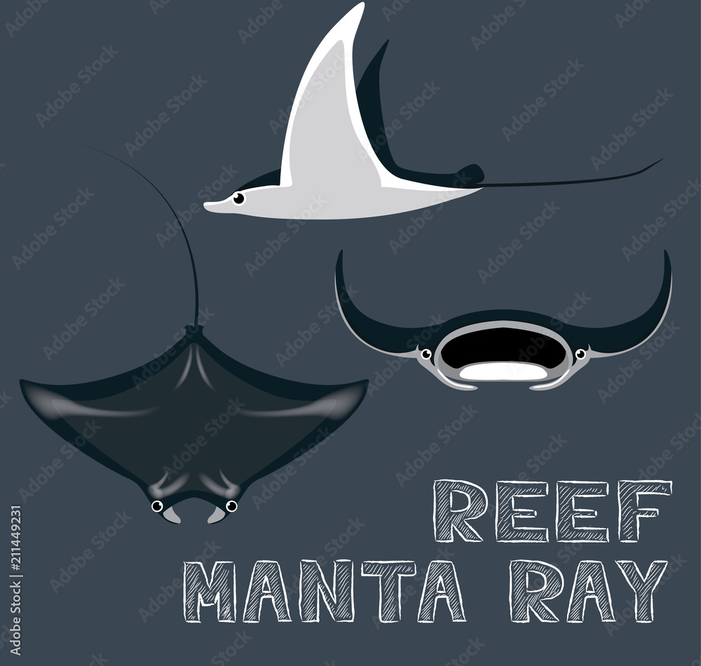 Cute Reef Manta Ray Cartoon Vector Illustration Stock Vector | Adobe Stock