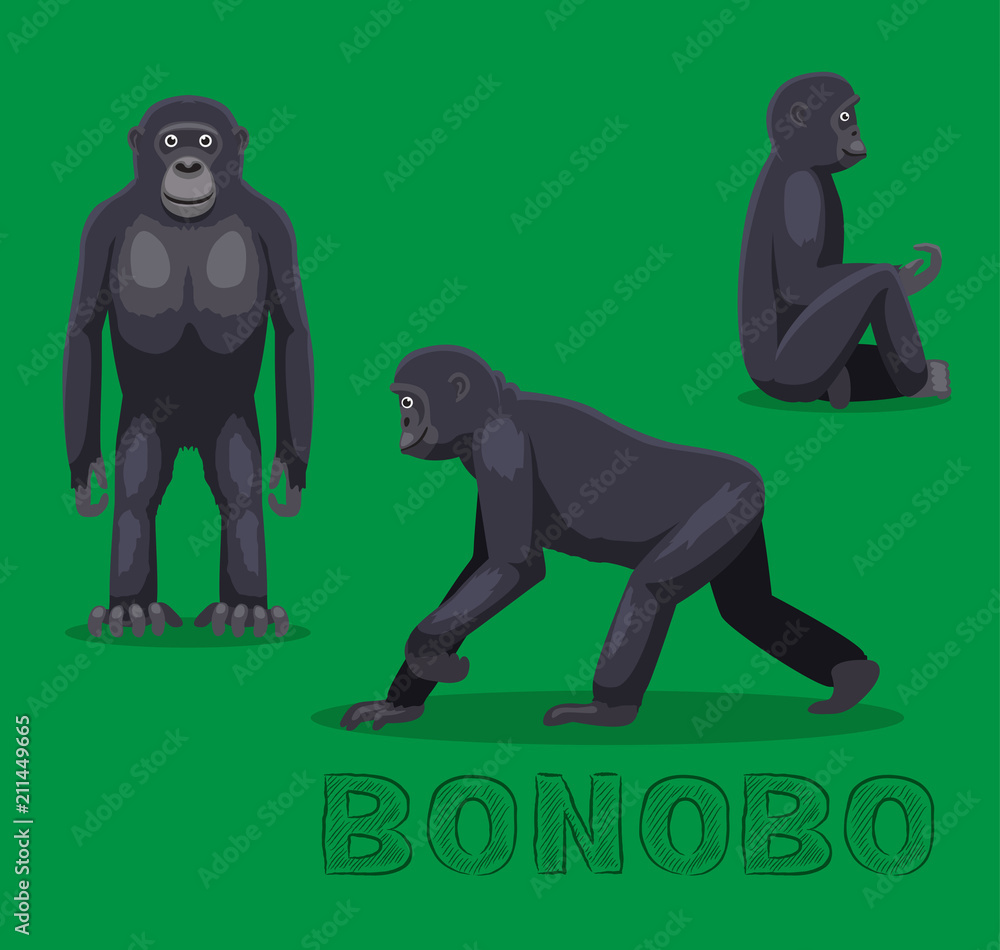 Ape Bonobo Cartoon Vector Illustration Stock Vector | Adobe Stock
