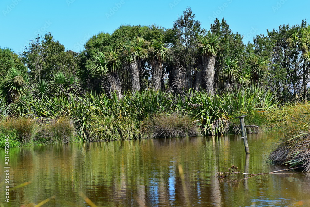 Reflection of trees in Travis Wetland Nature Heritage Park in ...