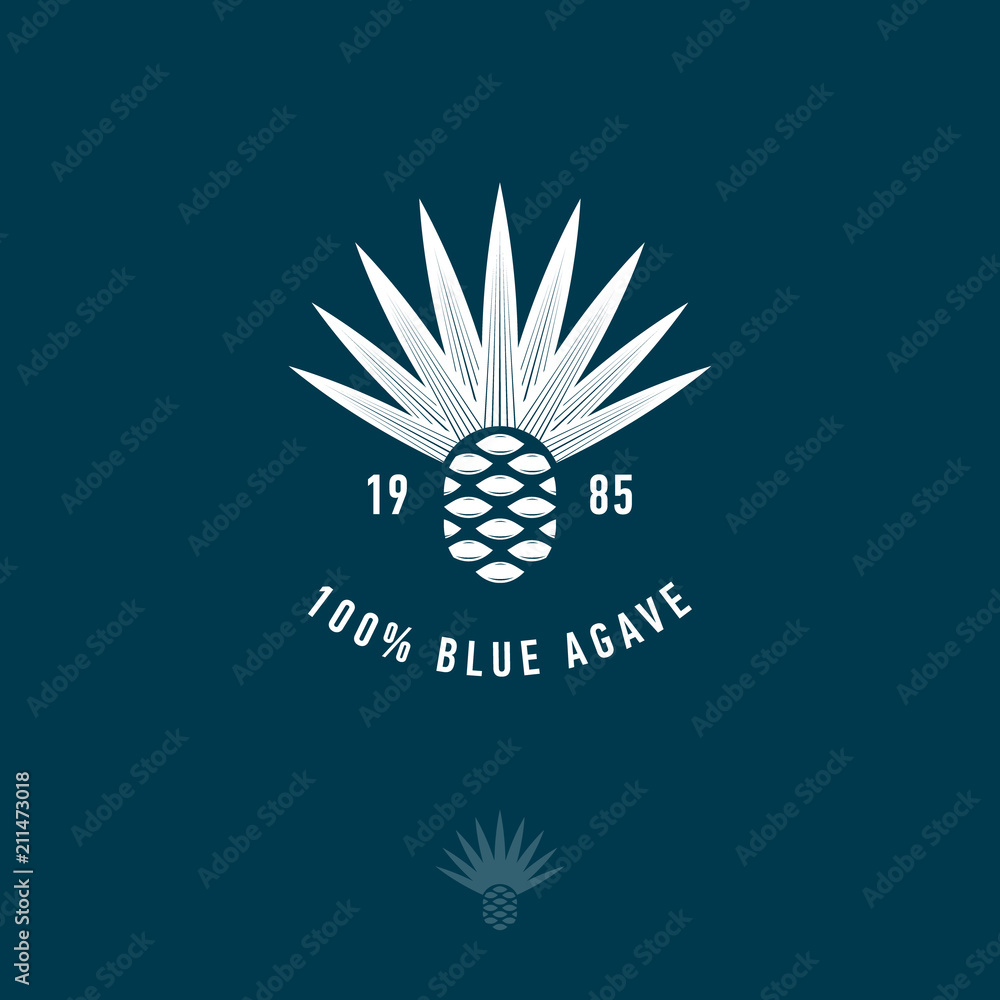 Blue agave icon. Tequila or mescal logo. Emblem for the label ...