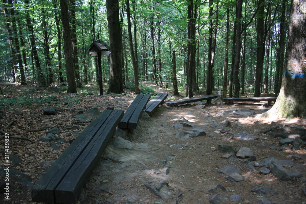 Benches and signpost on the tourist trail in the Świętokrzyskie ...