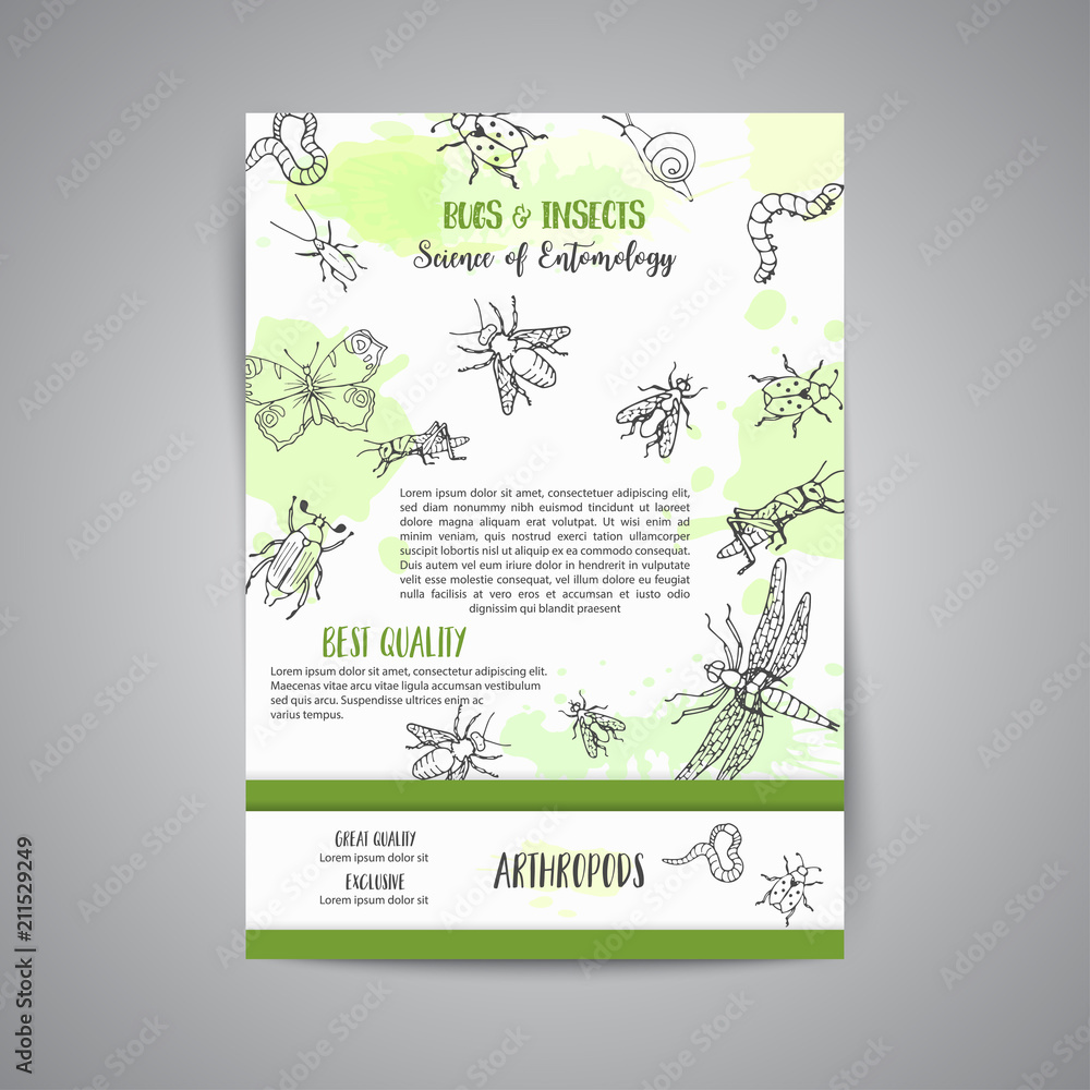 Bugs insects hand drawn banner. Pest control concept. Entomology poster ...