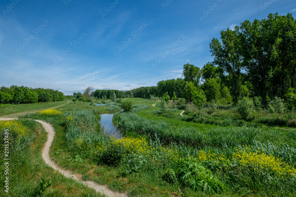 Polder landscape, a recreation area near Vlaardingen, a city close to ...