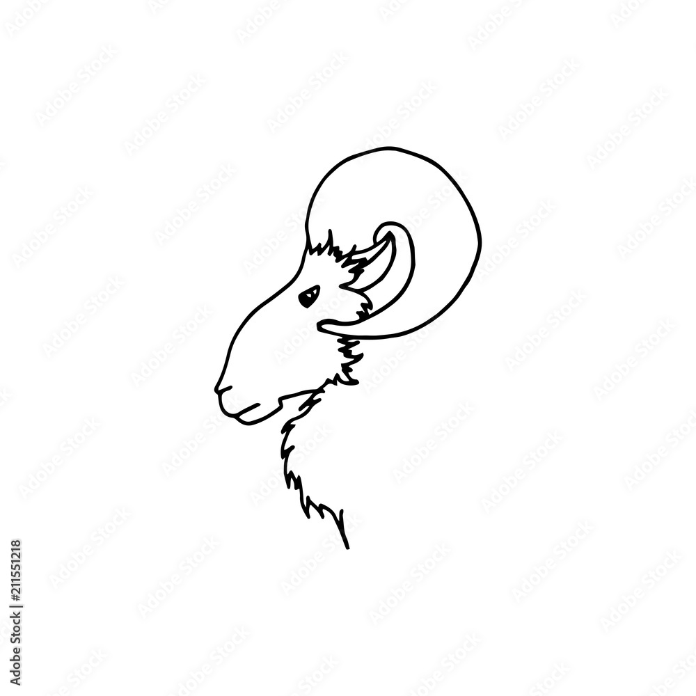 Vector illustration of hand drawing ram head in profile. Black sketch ...