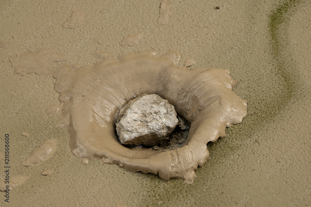 Poster Land after flood.Texture of silt. – Wall Art | UkPosters