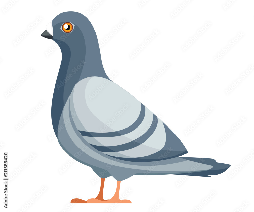 Pigeon bird. Flat cartoon character design. Colorful bird icon. Cute ...
