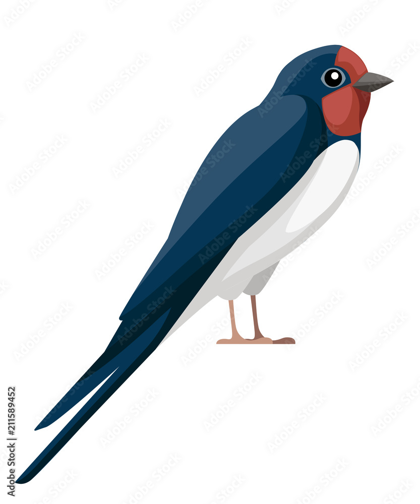 Swallow bird. Flat cartoon character design. Colorful bird icon. Cute ...