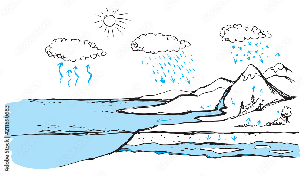 Vector schematic water cycle in nature Stock Vector | Adobe Stock Vector schematic water cycle in nature Stock Vector | Adobe Stock