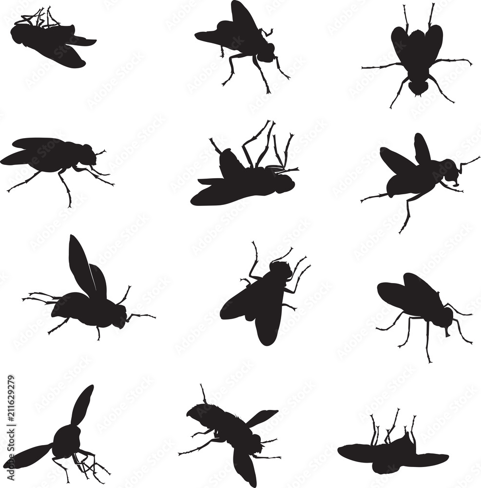 Fly, various images, vector, black silhouette Stock Vector | Adobe Stock