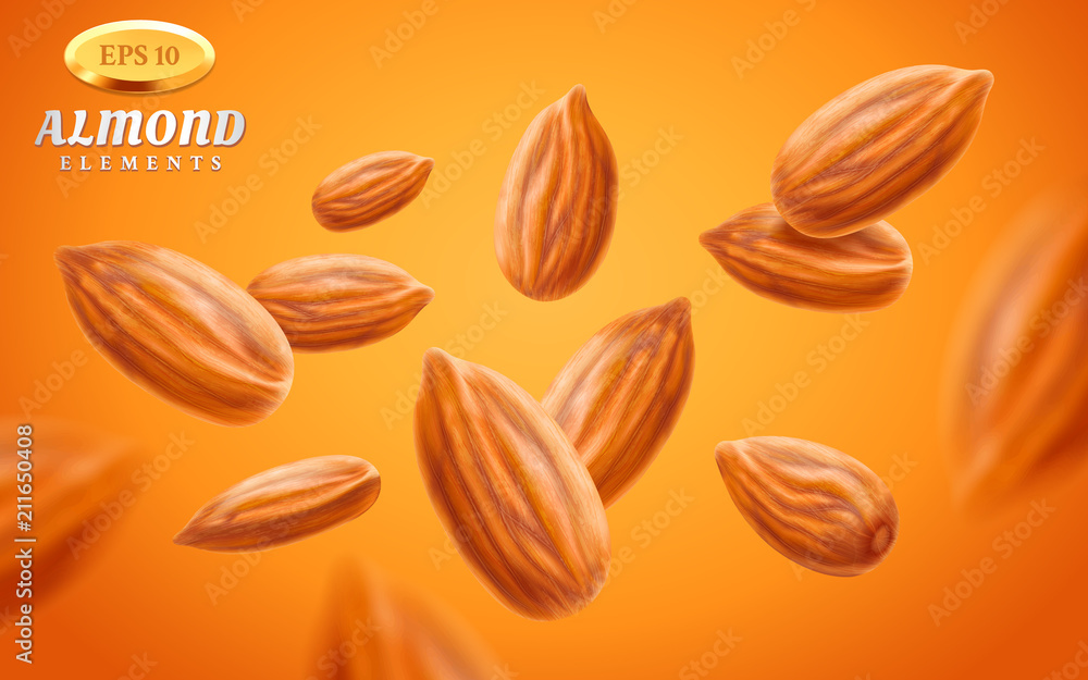 Almond vector set, detailed realistic kernels isolated on warm ...