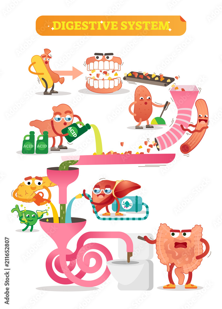 Digestive system vector illustration. Comic scheme with mouth, gut ...