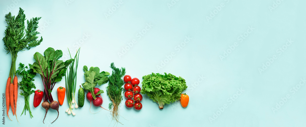 Organic vegetables and garden tools on blue background with copy space ...