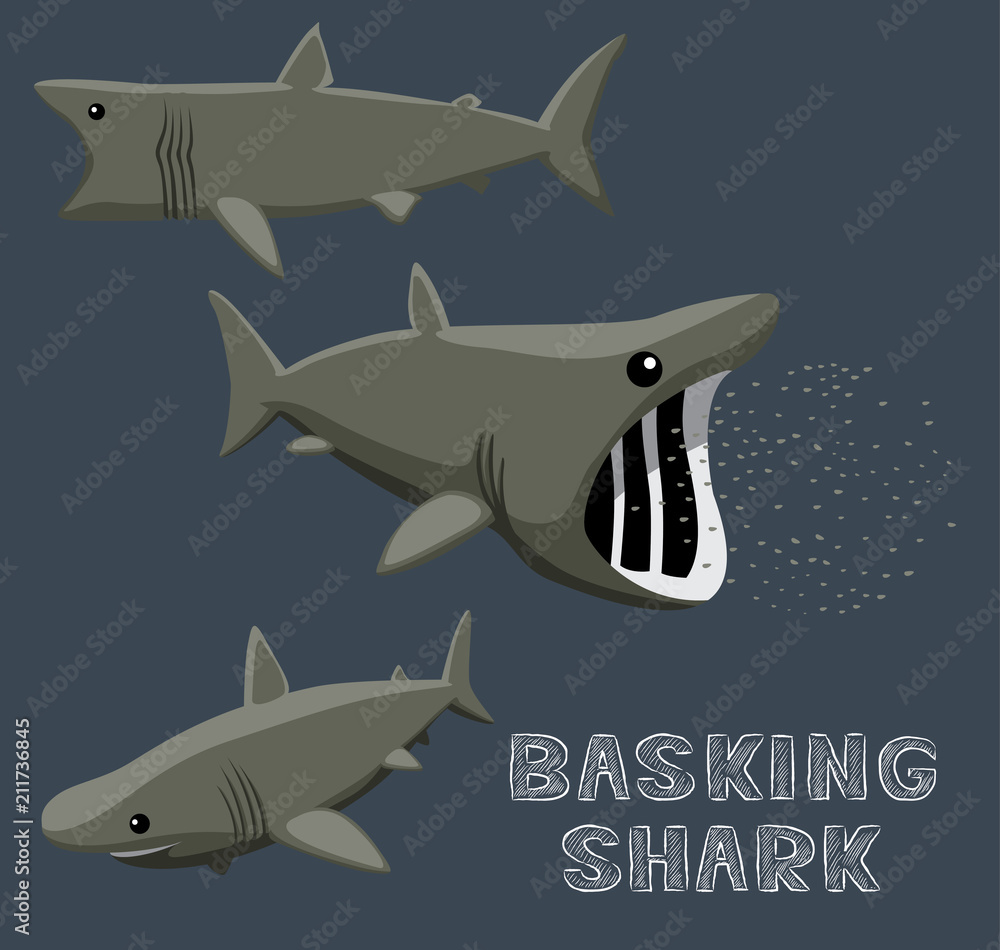 Basking Shark Cartoon Vector Illustration Stock Vector | Adobe Stock