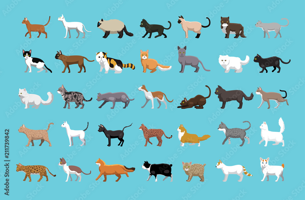 Various Cats Side View Cartoon Vector Illustration Stock Vector | Adobe ...