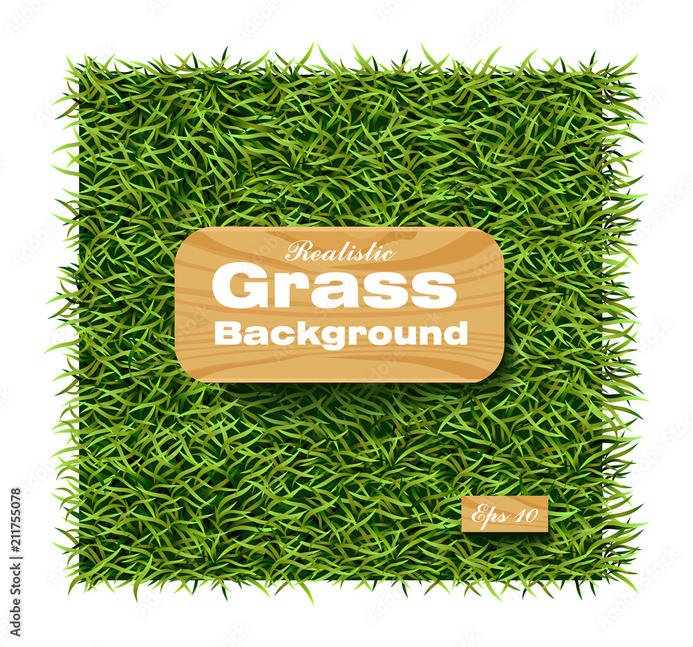 Grass background Vector realistic. Layout template illustrations Stock Vector | Adobe Stock