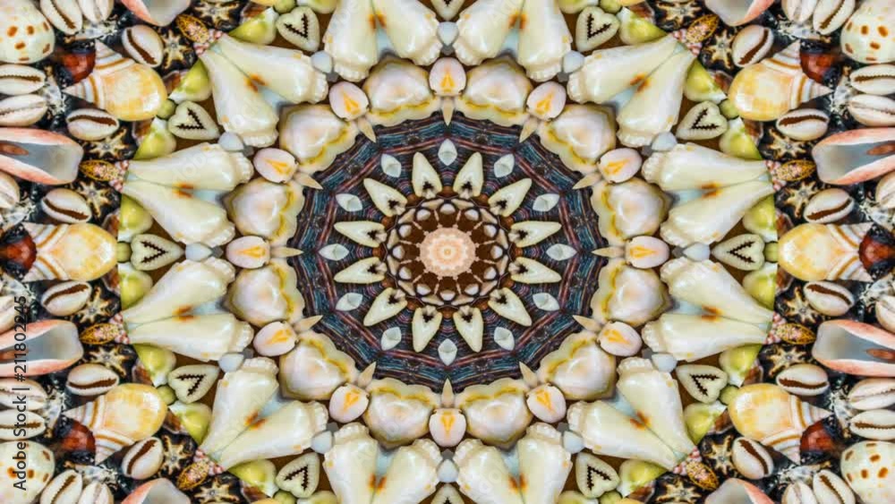Abstract Dry Seashells and Stars Concept Symmetric Pattern Ornamental ...