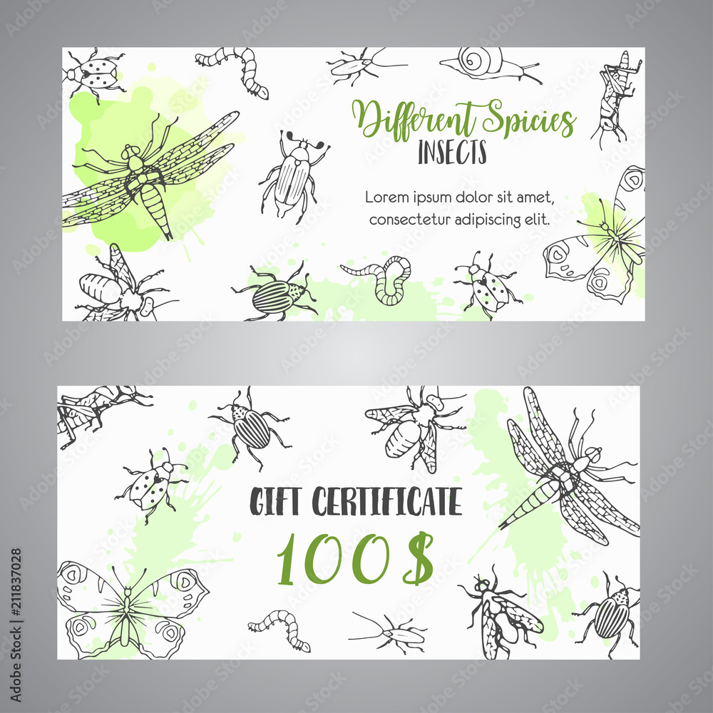 Bugs insects hand drawn gift certificate. Pest control concept ...