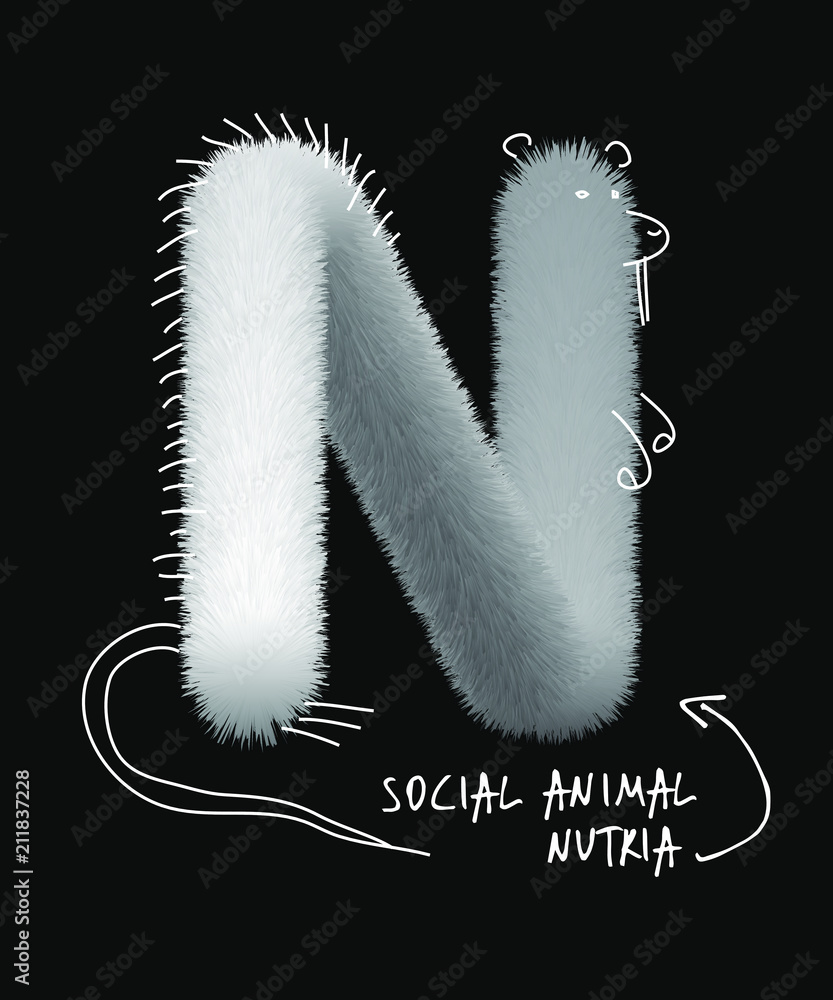 Uppercase fluffy and furry N animal nutria letter with line ...