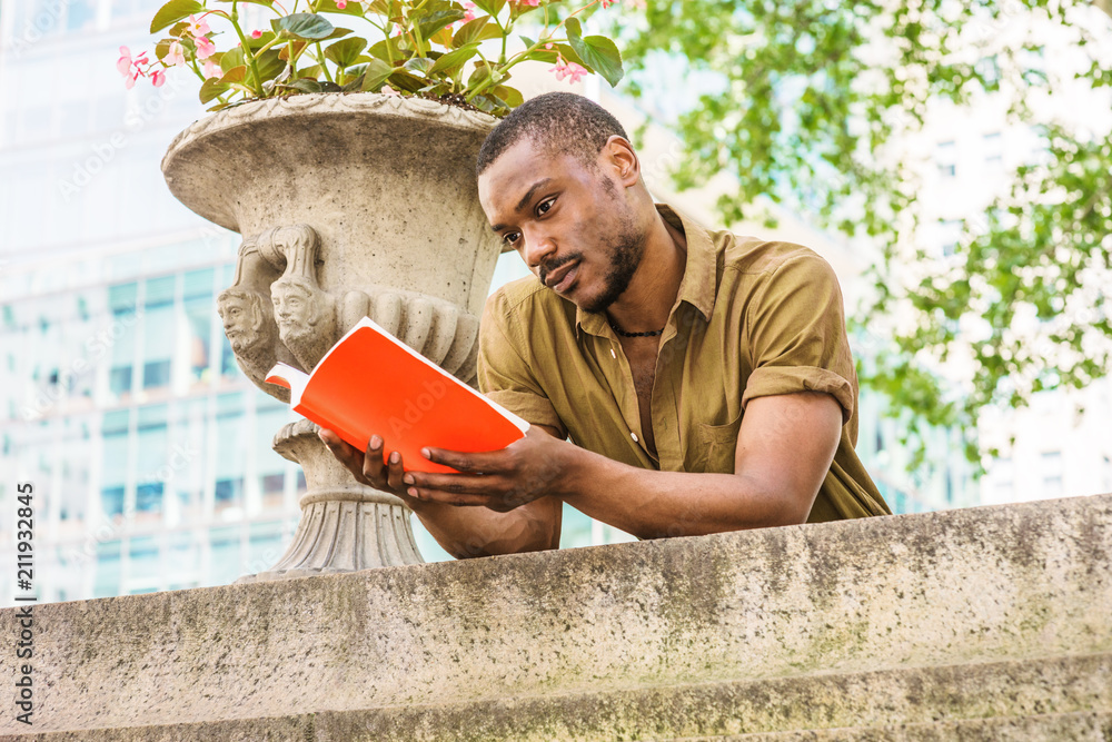 Young African American College Student studying in New York, wearing ...