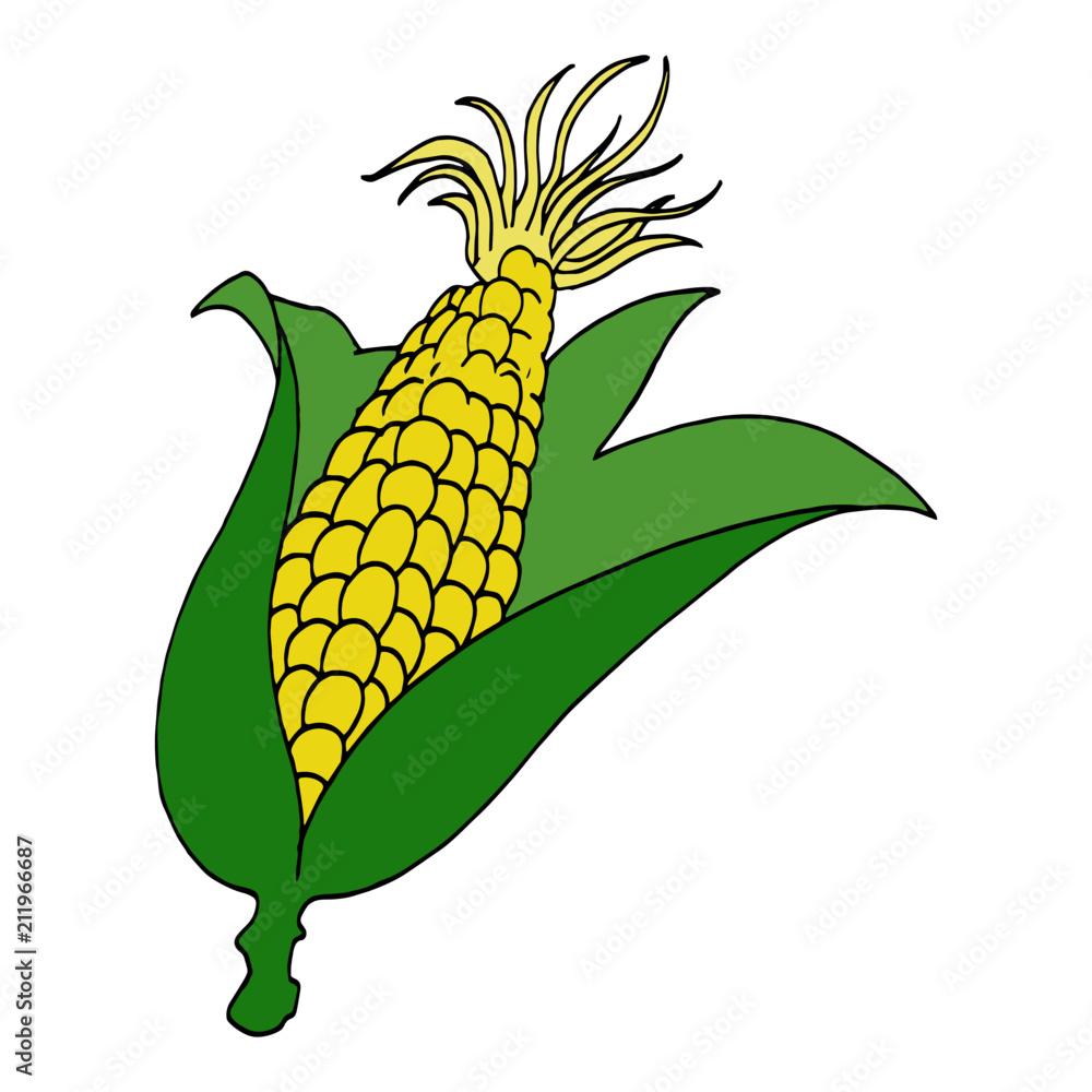 Corn cartoon illustration isolated on white background for children ...