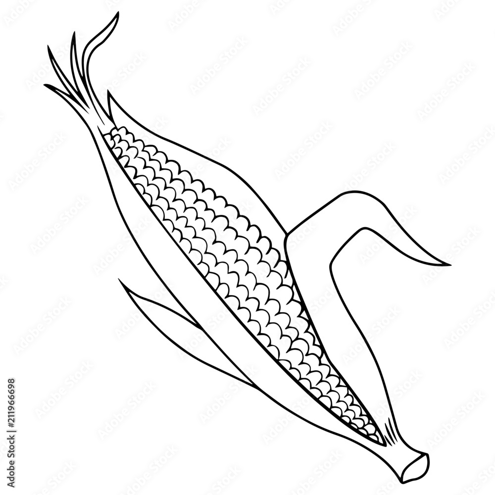 Corn cartoon illustration isolated on white background for children ...