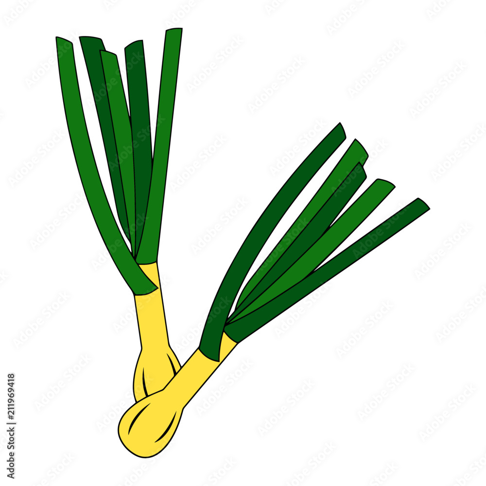 Scallion cartoon illustration isolated on white background for children ...