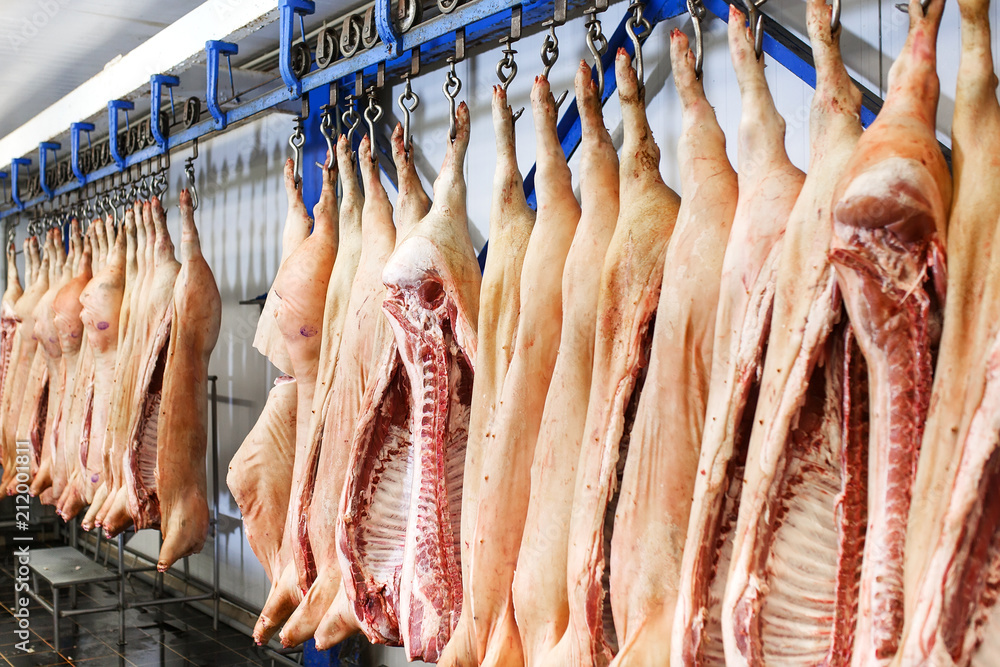 Pig carcasses cut in half stored in refrigerator room of food ...