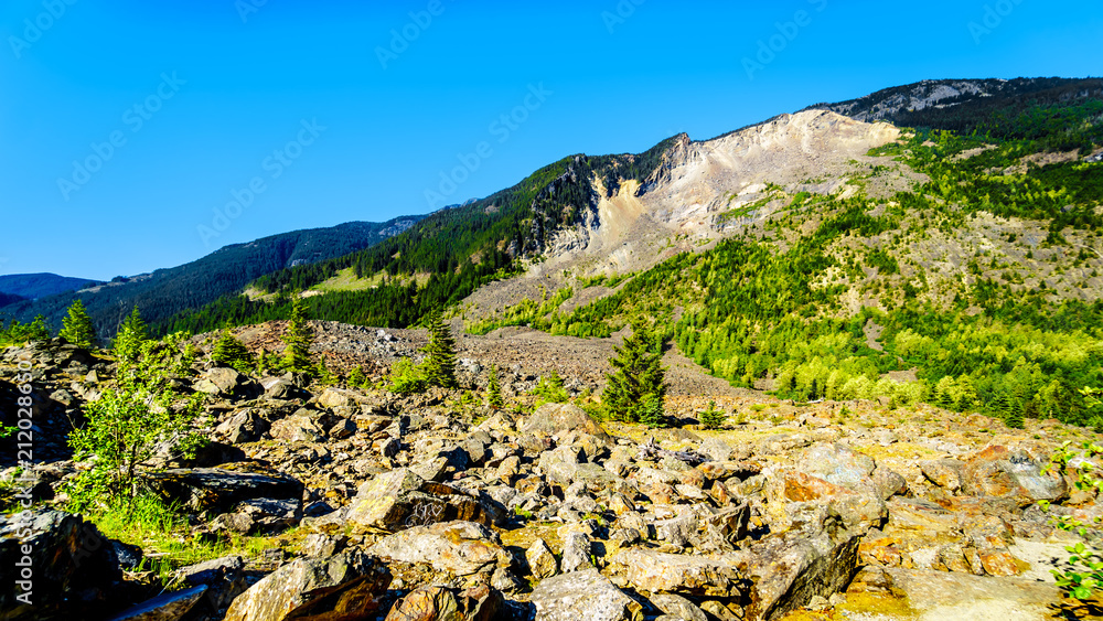 The Hope Slide along Highway 3 in British Columbia. The rock slide on ...
