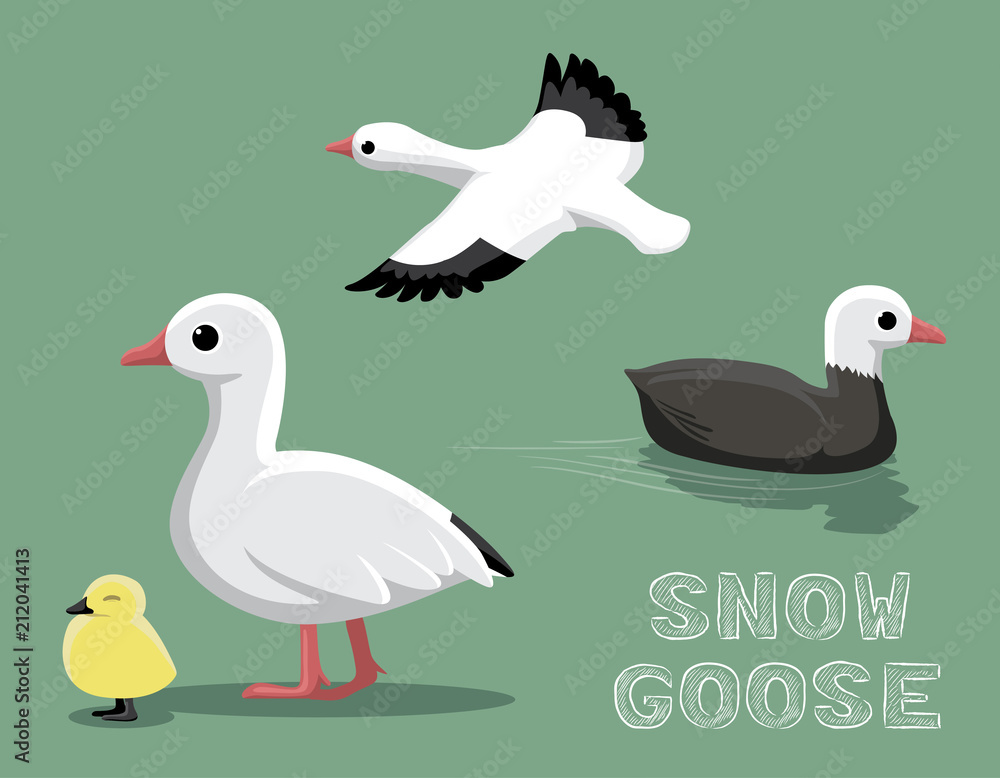 Snow Goose Cartoon Vector Illustration Stock Vector | Adobe Stock