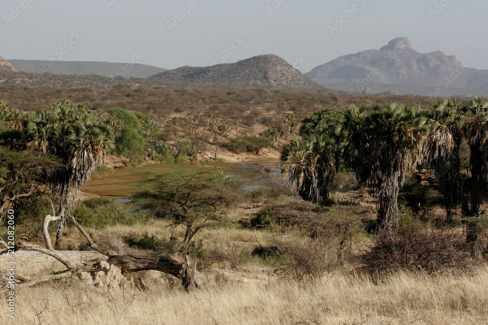 Kenya: Oasis in the desert of Samburu at Ngoro river Stock Photo ...