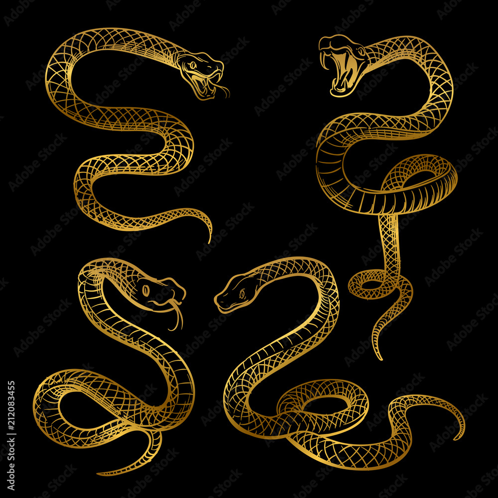 Golden snake set. Hand drawn snakes Stock Vector | Adobe Stock