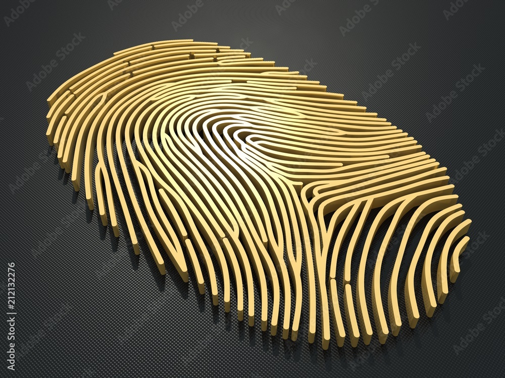 Human identification system based on biometric fingerprints. 3D fingerprint scan for secure ...