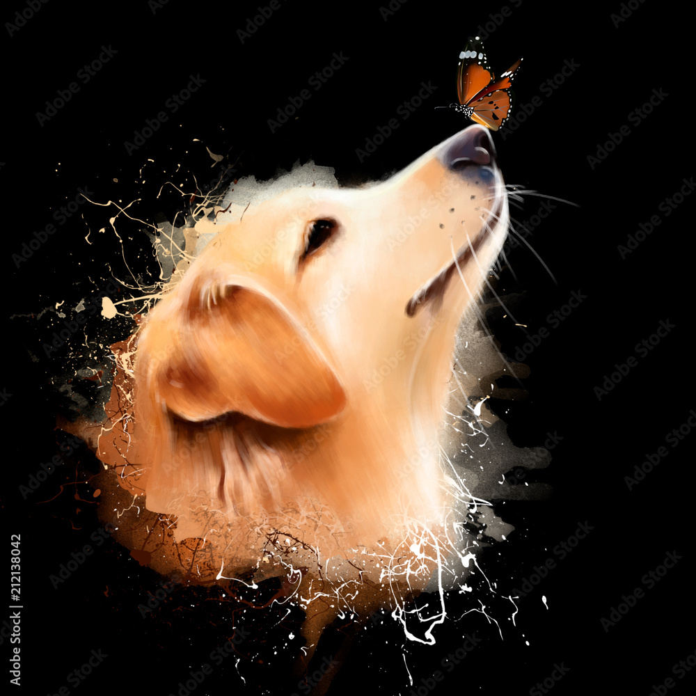 What Is A Butterfly Nose On A Dog