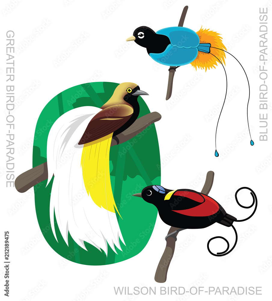 Bird Bird-of-Paradise Set Cartoon Vector Illustration Stock Vector ...