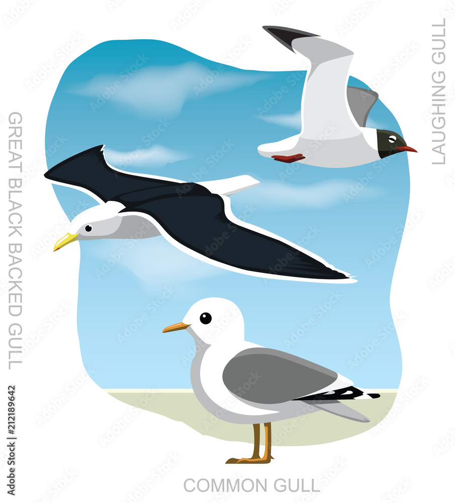 Bird Gull Set Cartoon Vector Illustration Stock Vector | Adobe Stock
