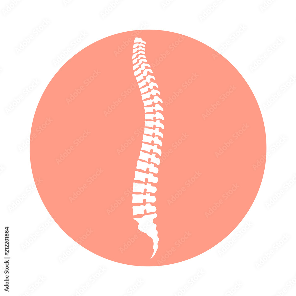 Spine human graphic icon. Spinal column sign in the circle isolated on ...