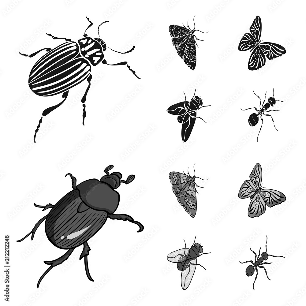 Arthropods insect beetle, moth, butterfly, fly. Insects set collection ...