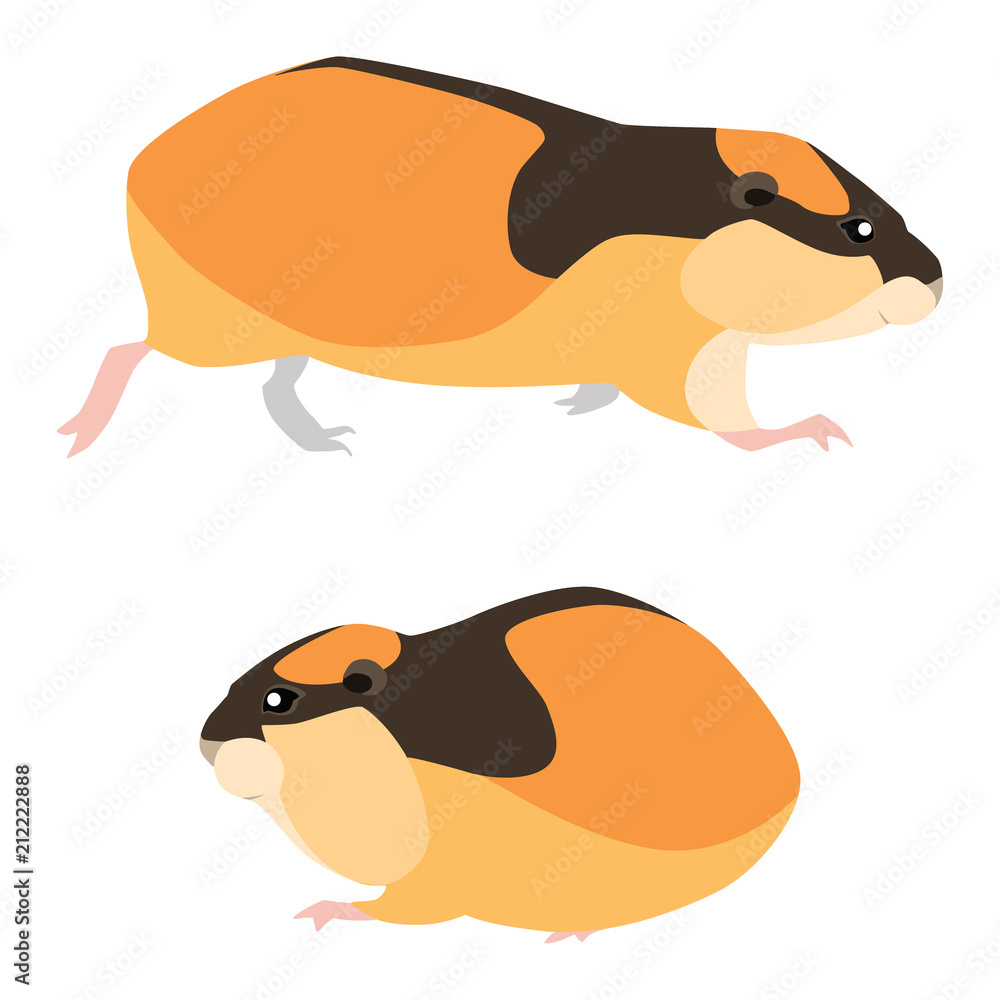 Vector illustration of walking and sitting cute lemmings isolated on ...