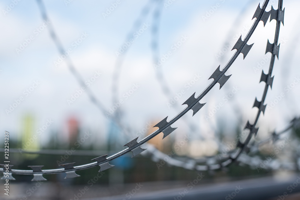 barbed wire Stock Photo | Adobe Stock