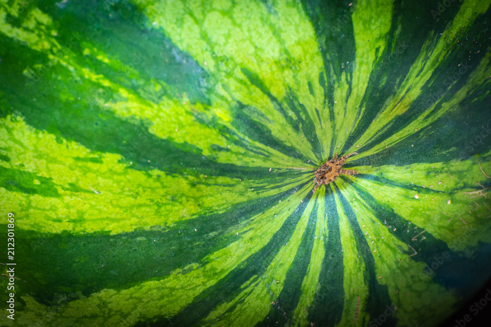 Fresh ripe tropical Caribbean island watermelon fruit, grown on outdoor ...