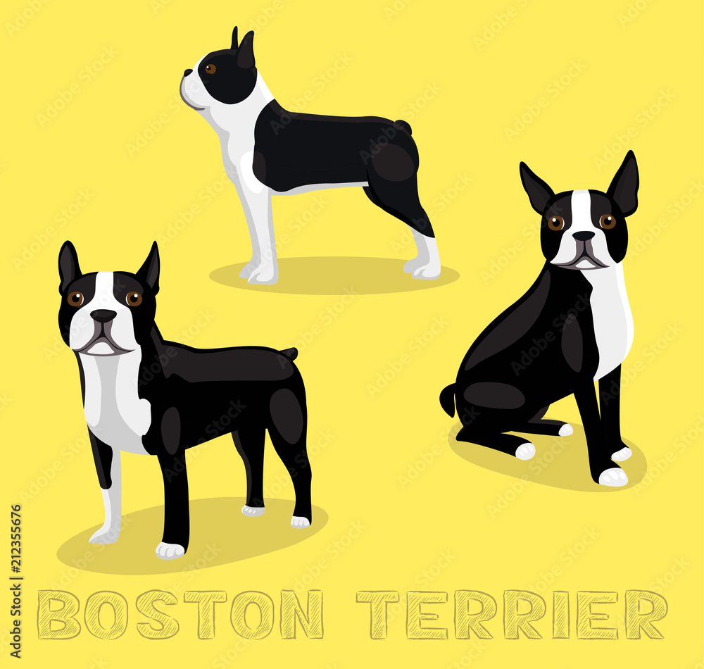 Dog Boston Terrier Cartoon Vector Illustration Stock Vector | Adobe Stock