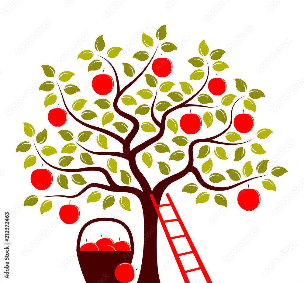 apple harvest Stock Vector | Adobe Stock